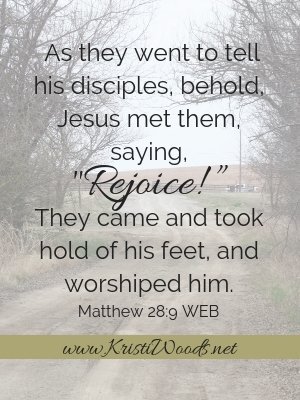 Have You Ever Noticed the Encounter of the Marys? - Kristi Woods